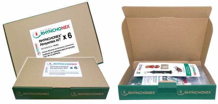 Rhynchophorus ferrugineus| Red palm weevil | ECONEX pheromones and traps